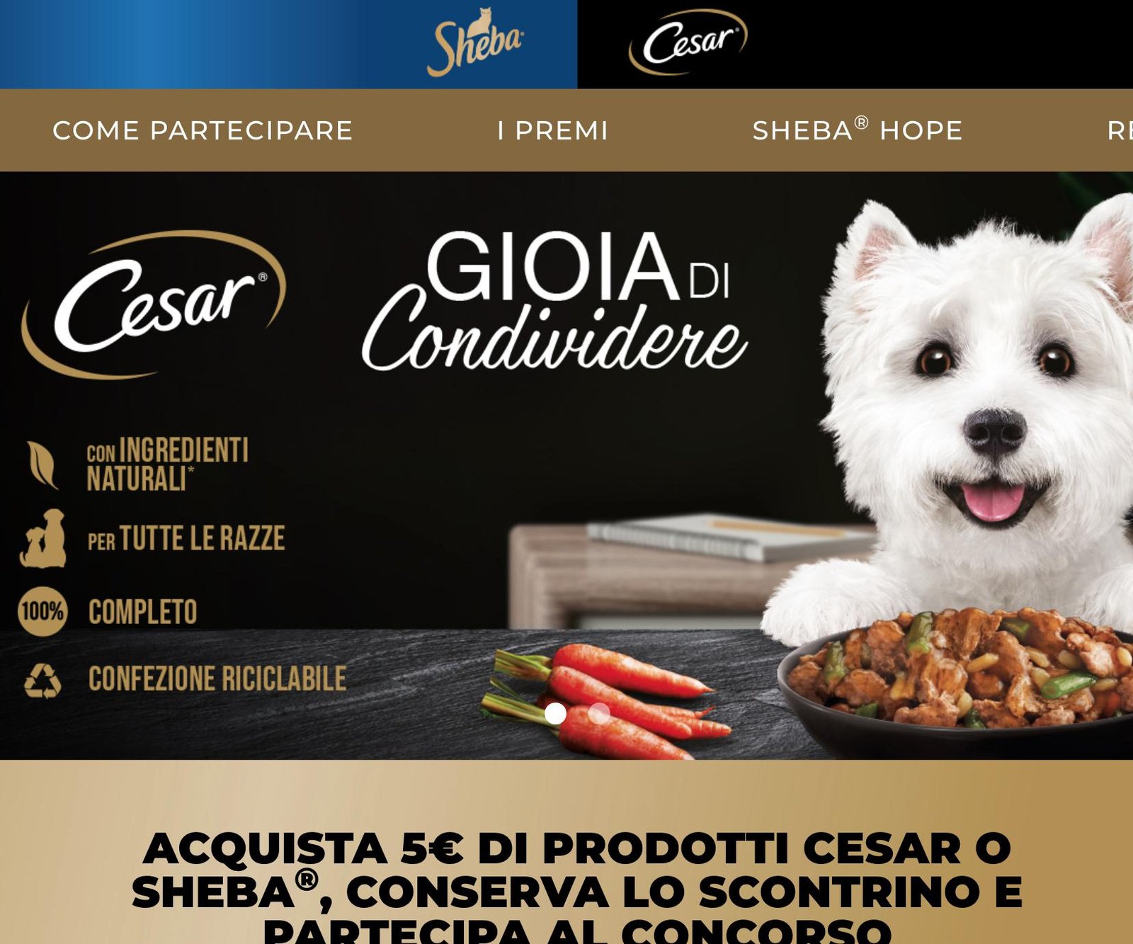 Concorso Cesar & Sheba 2023 - Premi e Concorsi
